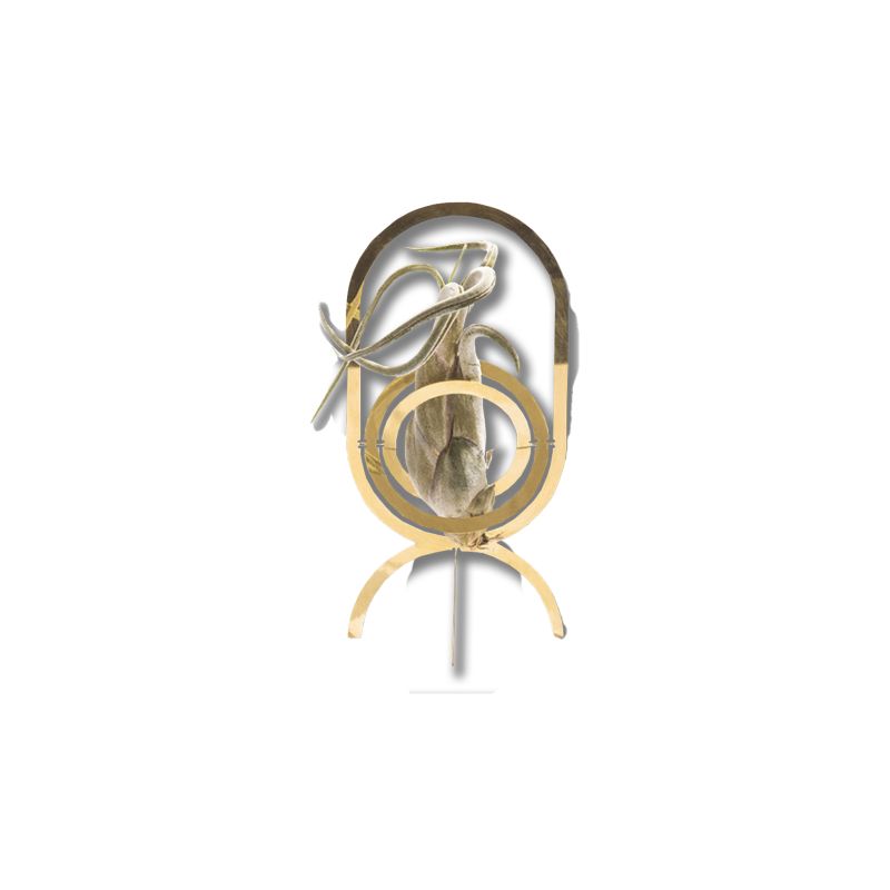 Air Trophy planteholder